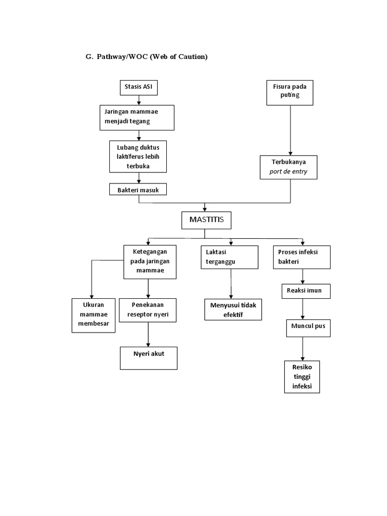 Pathway Mastitis | PDF