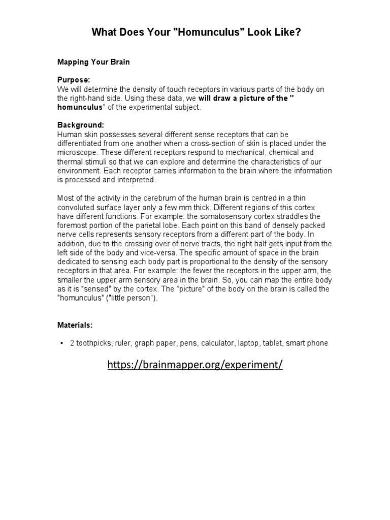 What Does Your "Homunculus" Look Like?: Mapping Your Brain Purpose ...