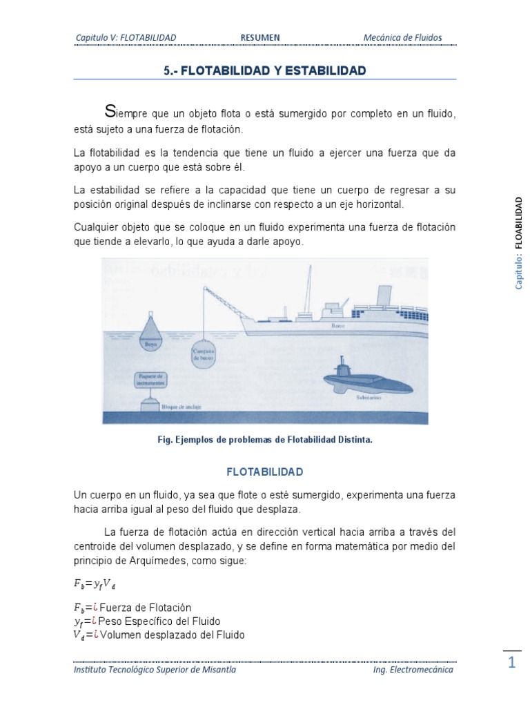 Flotabilidad y Estabilidad en Fluidos | PDF | Fuerza | Cantidades fisicas