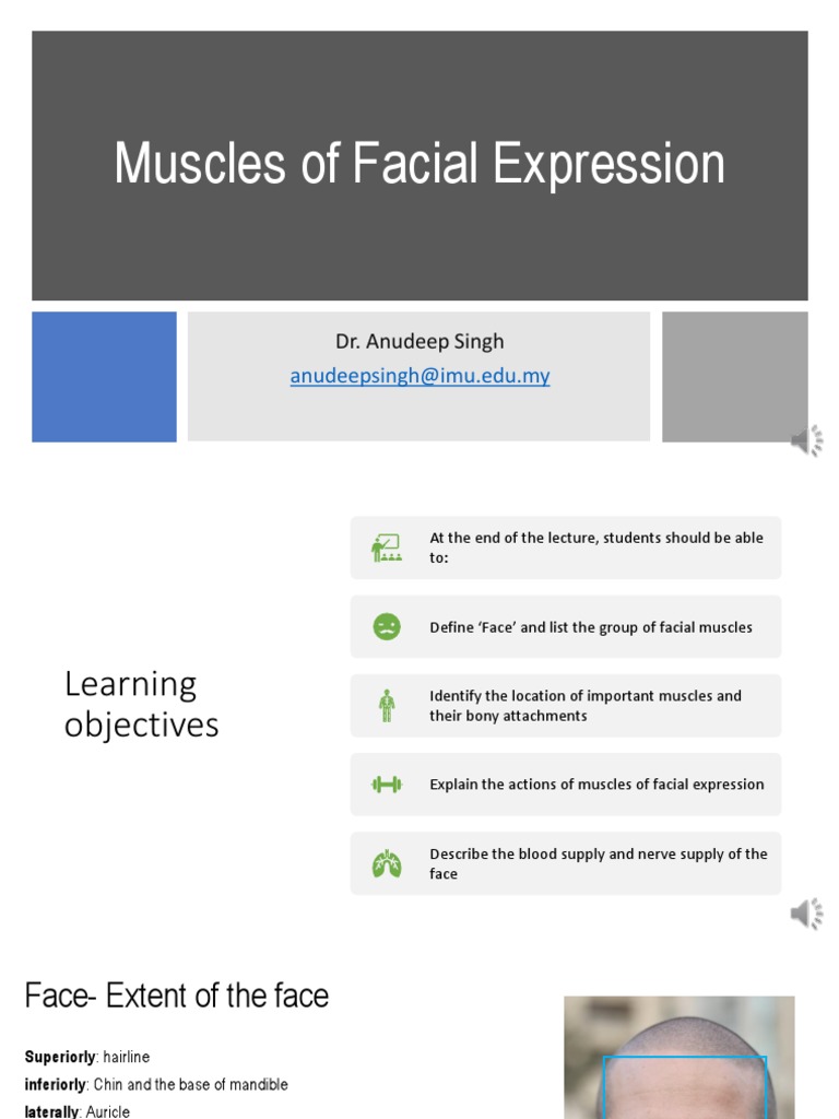 Muscles of Facial Expression | PDF | Human Nose | Lip