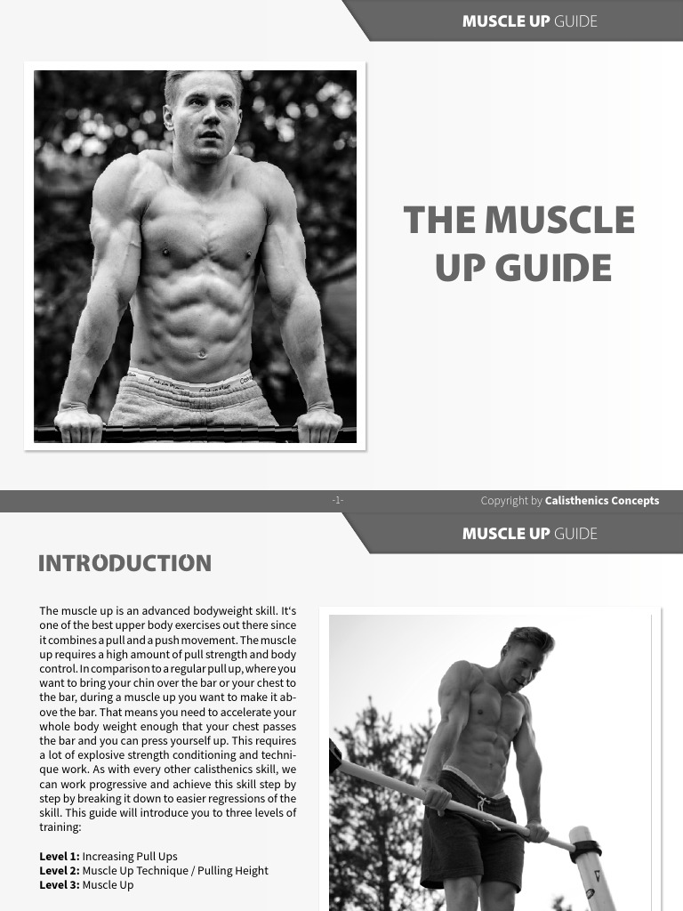King of Weighted Muscle Up Guide | PDF