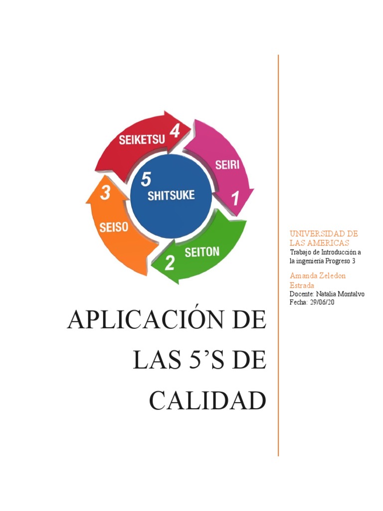 Aplicación de Las 5'S de Calidad | Descargar gratis PDF | Cocina | Residuos