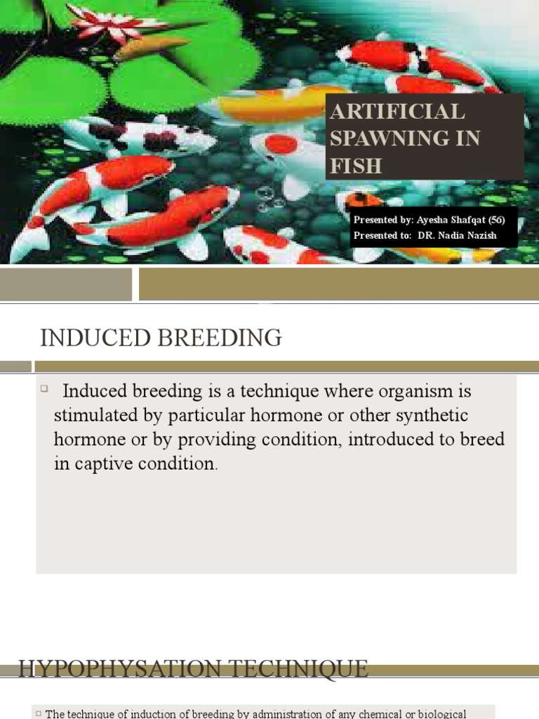Induced Breeding Techniques in Fish | PDF | Pituitary Gland | Nature
