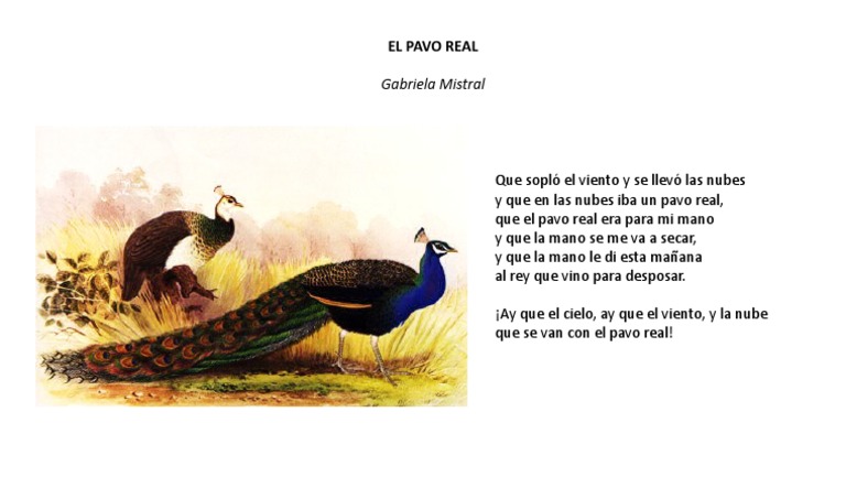 El Pavo Real de Gabriela Mistral | PDF