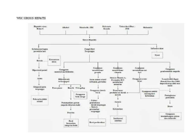 Woc Sirosis Hepatis | PDF