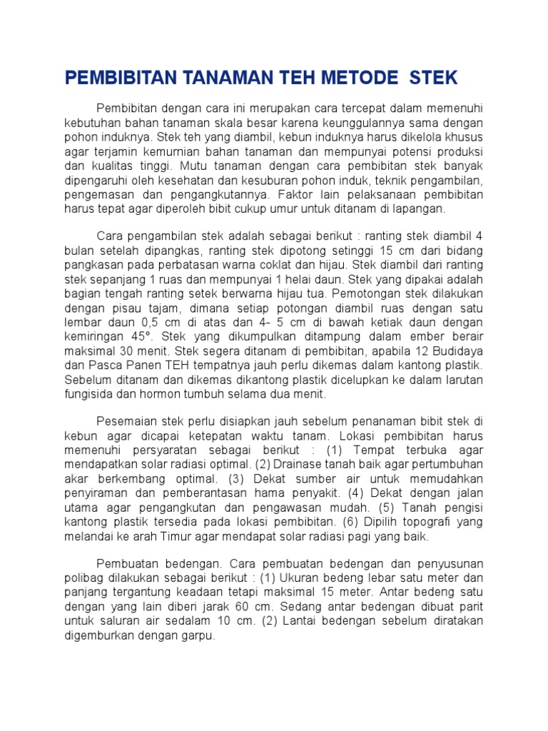 Pembibitan Tanaman Teh Metode Stek | PDF