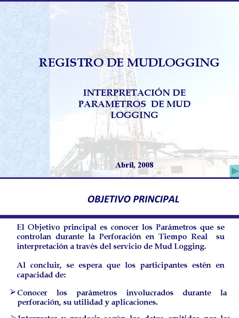 Mud Logging | PDF | Sensor | Caliza
