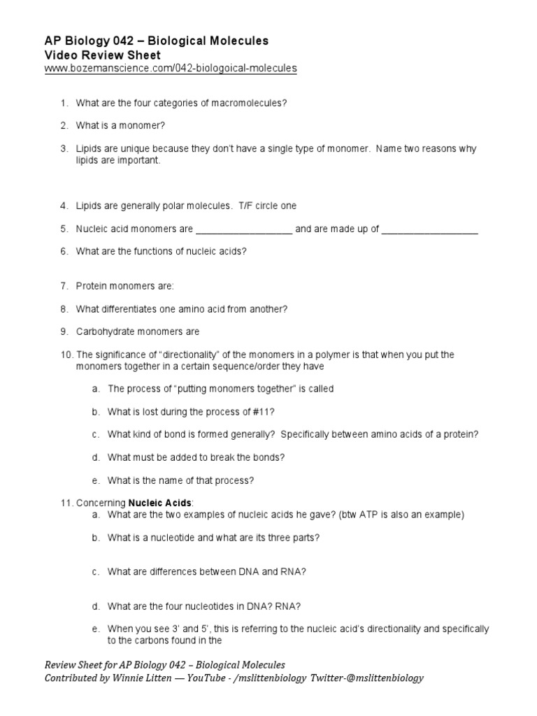 AP+Bio 042+Biological+Molecules+Worksheet WL | PDF | Nucleic Acids | Biomolecules