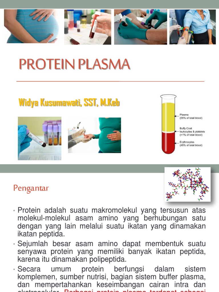 Jenis dan Fungsi Protein Plasma | PDF | Pengembangan Diri | Kesehatan ...