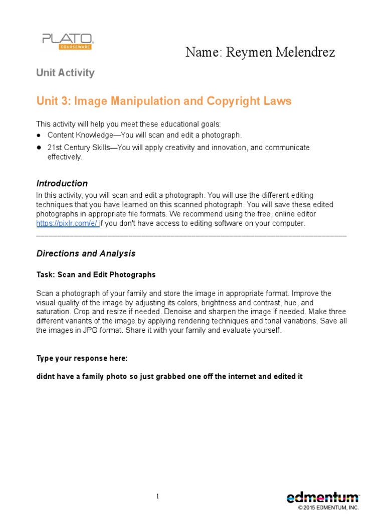 Unit 3 Activity - Image Manipulation and Copyright Laws (Your Name) | PDF