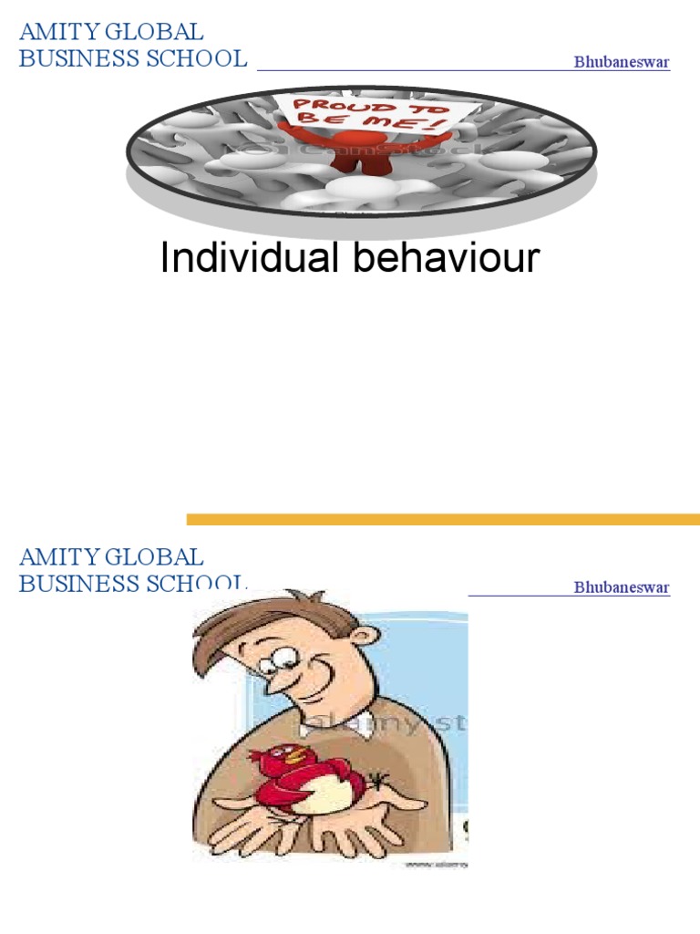 Understanding Individual Behavior Factors | PDF | Senses | Perception