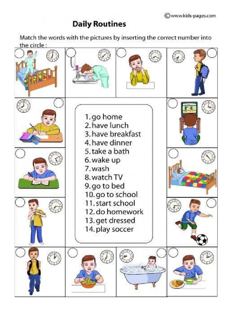 Dairy Routines | PDF