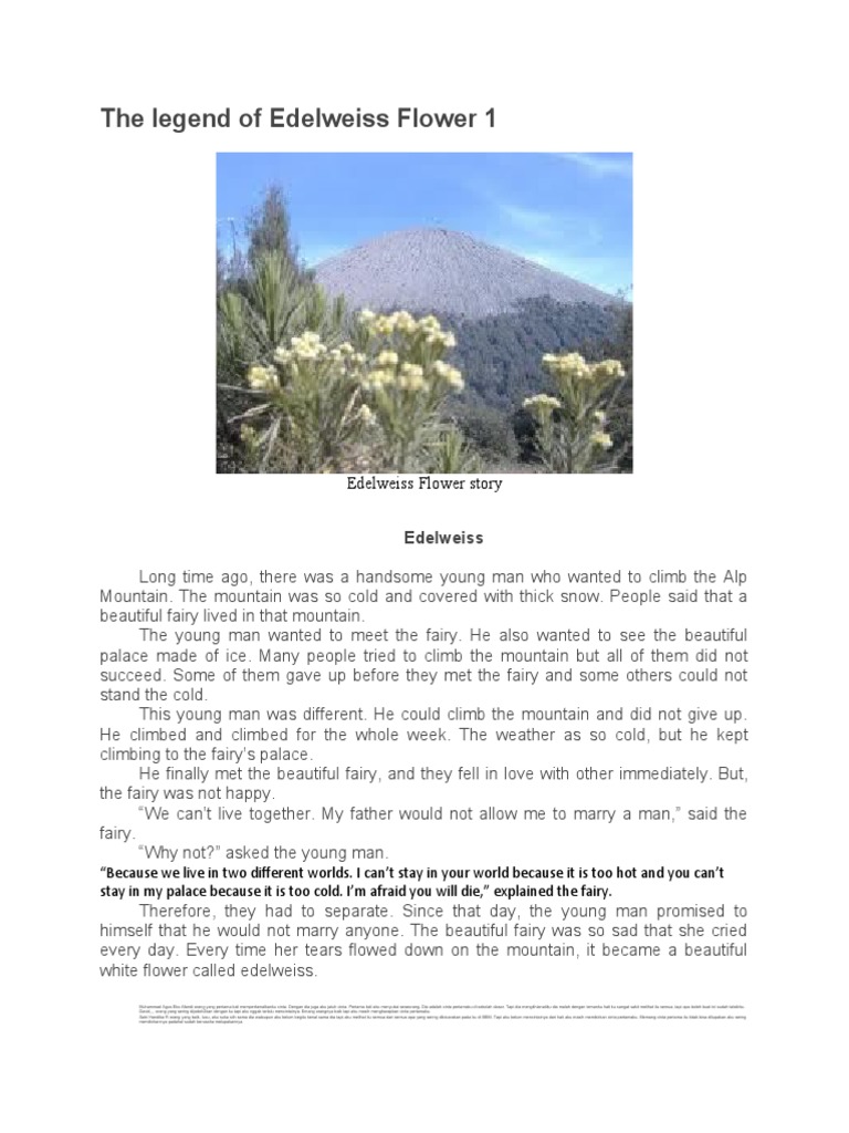 The legend of Edelweiss Flower | Nature
