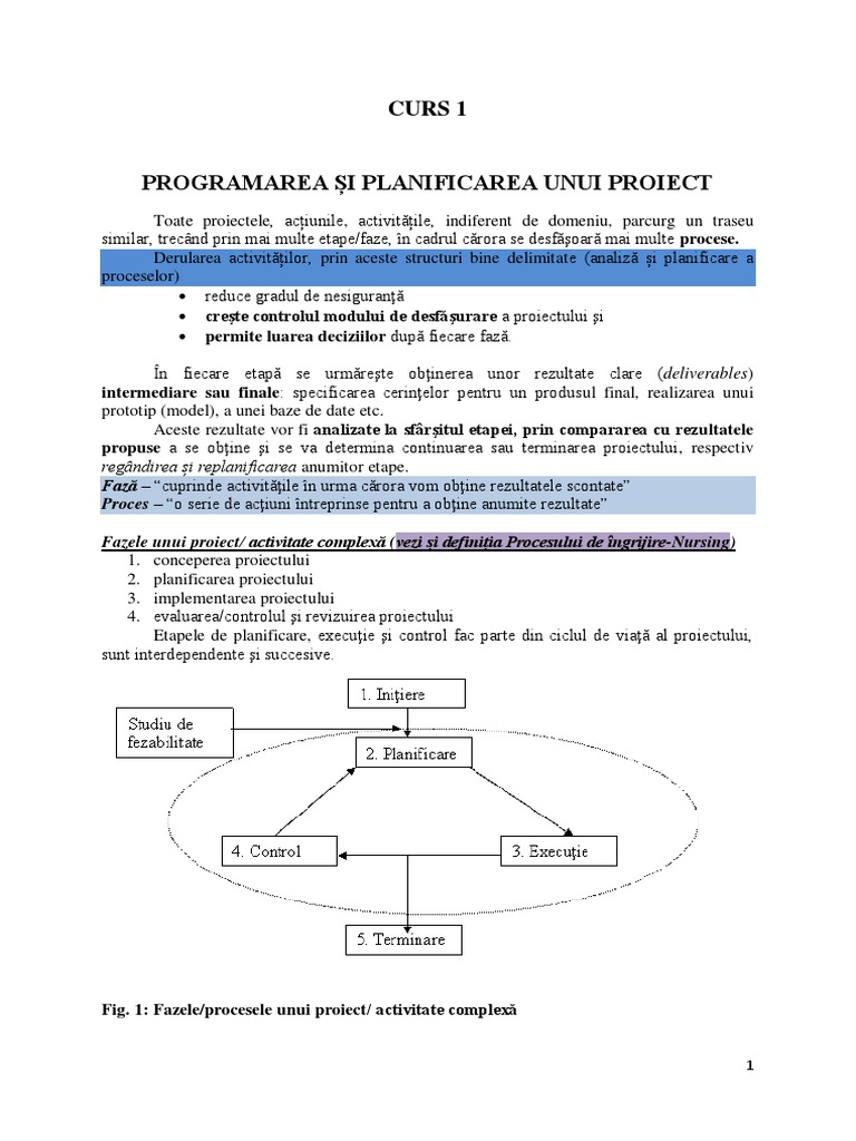 01 - CURS 1 - Programare Și Planificare - Etapele Unui Proiect | PDF