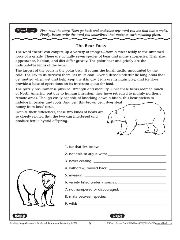 Reading Comprehension p.9 - Bears | PDF