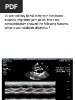 ASE Guidelines for Chamber Quantification | PDF | Ventricle (Heart ...