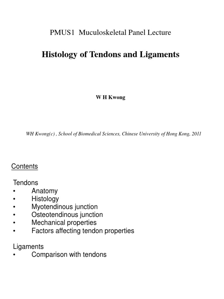 PMUS1-8 Histology of Tendons and Ligaments | PDF | Tendon | Soft Tissue