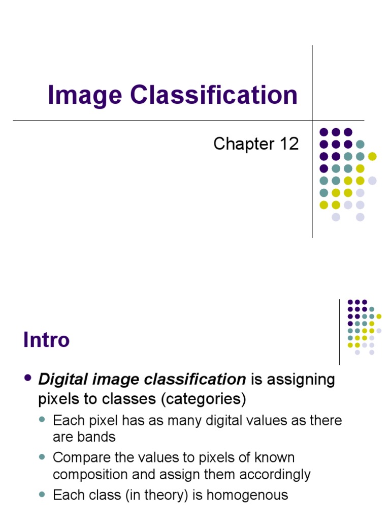 CH 12 Image Classification | PDF | Statistical Classification | Statistics