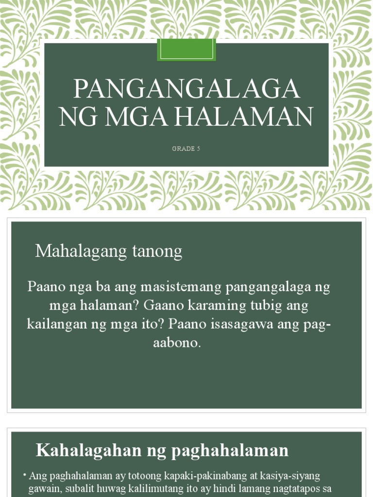 L3 Epp 5 PANGANGALAGA NG MGA HALAMAN | PDF