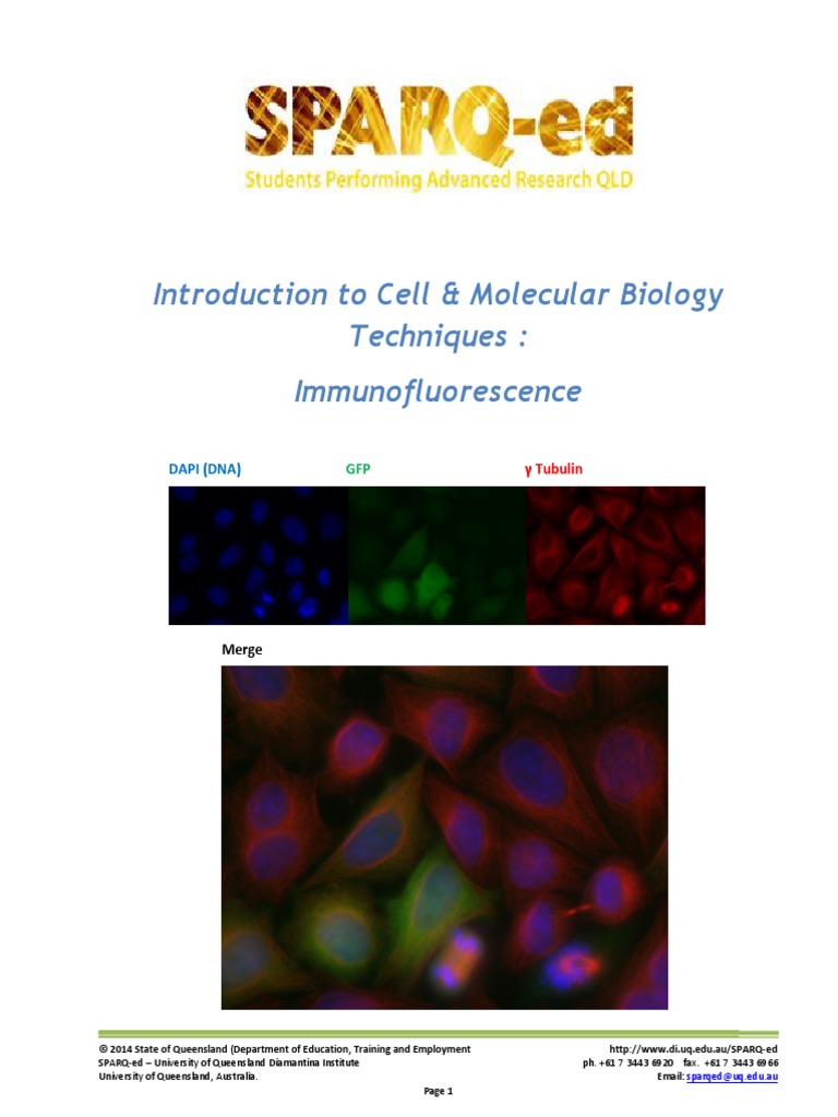 Introduction To Cell & Molecular Biology Techniques: Immunofluorescence ...