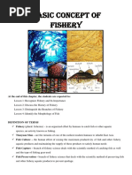 Module 3 CLASSIFICATION OF FISHING GEARS | PDF | Trawling | Fish