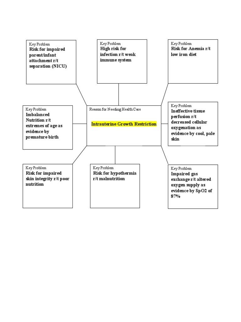 Neonatal Care Concept Map Overview | PDF | Breastfeeding | Infants