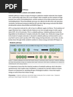 Polystyrene Solubility Guide | PDF | Ketone | Benzene