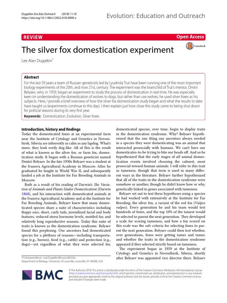 The Silver Fox Domestication Experiment | PDF | Biology | Nature