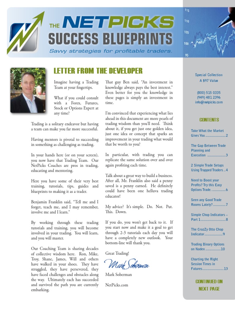 Netpicks Success Blueprints | PDF | Exchange Traded Fund | Option (Finance)