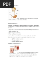 10 Astenia y Adinamia | PDF | Debilidad | Síndrome de fatiga crónica