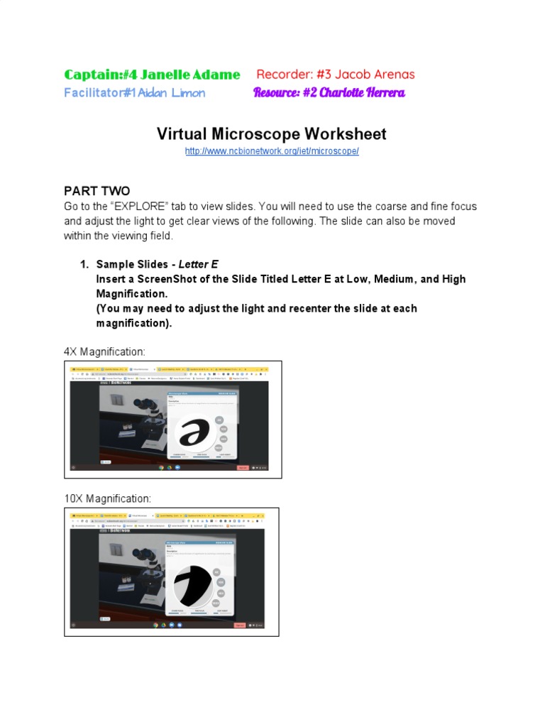 Virtual Microscope Worksheet: Facilitator#1 | PDF