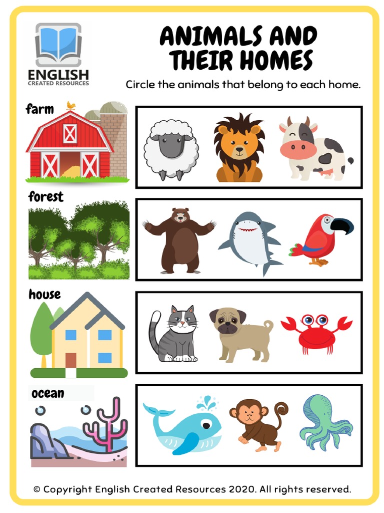 Animals and Their Homes | PDF