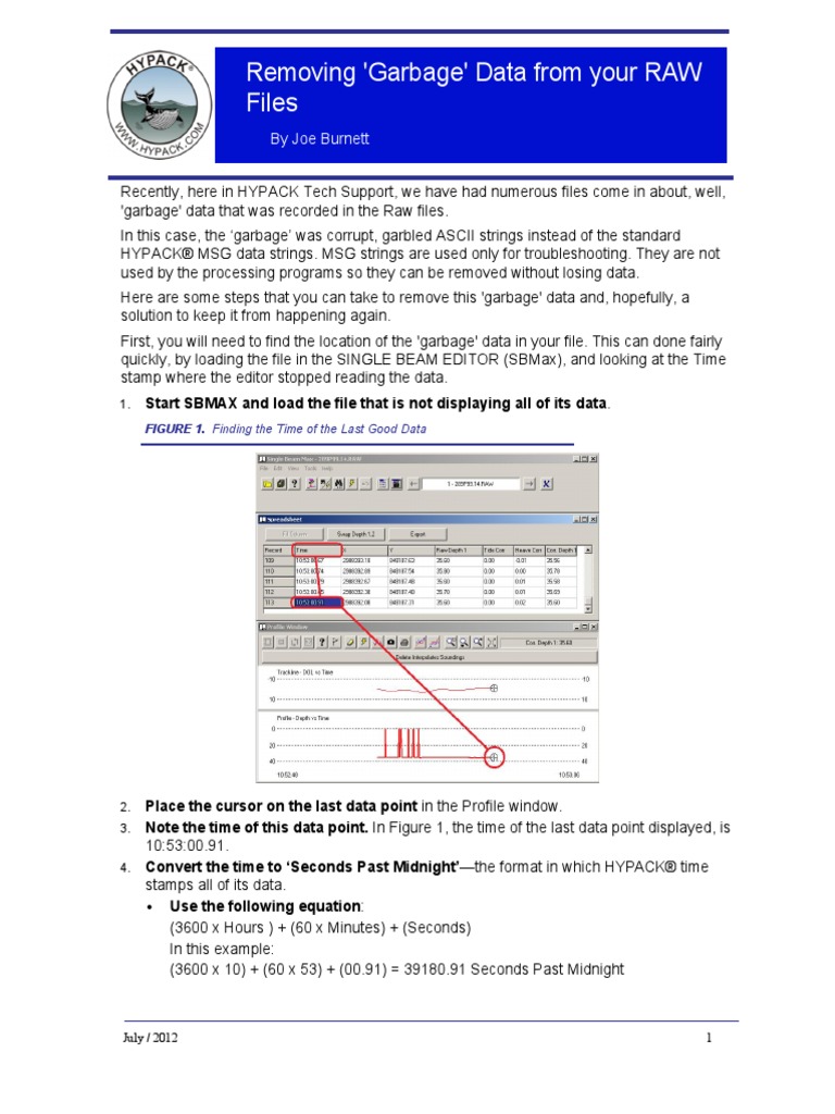 Removing Garbage Data From Your Raw Files Pdf Raw Image Format Computer Data