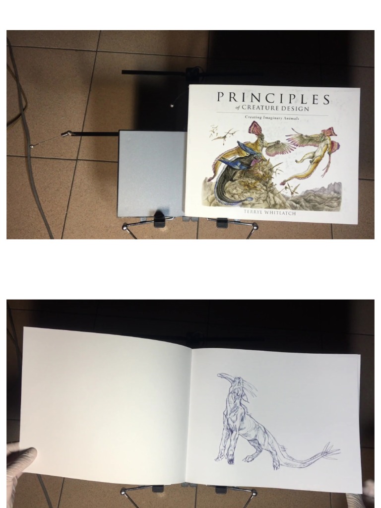 03-. Principles of Creature Design | PDF