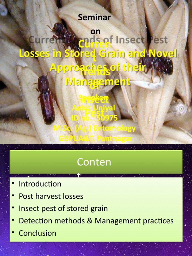Storage Pests and Management | PDF | Pest (Organism) | Silicon Dioxide
