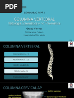 Anomalías de Transición Lumbosacra Por Tc. Método Castellvi | PDF ...