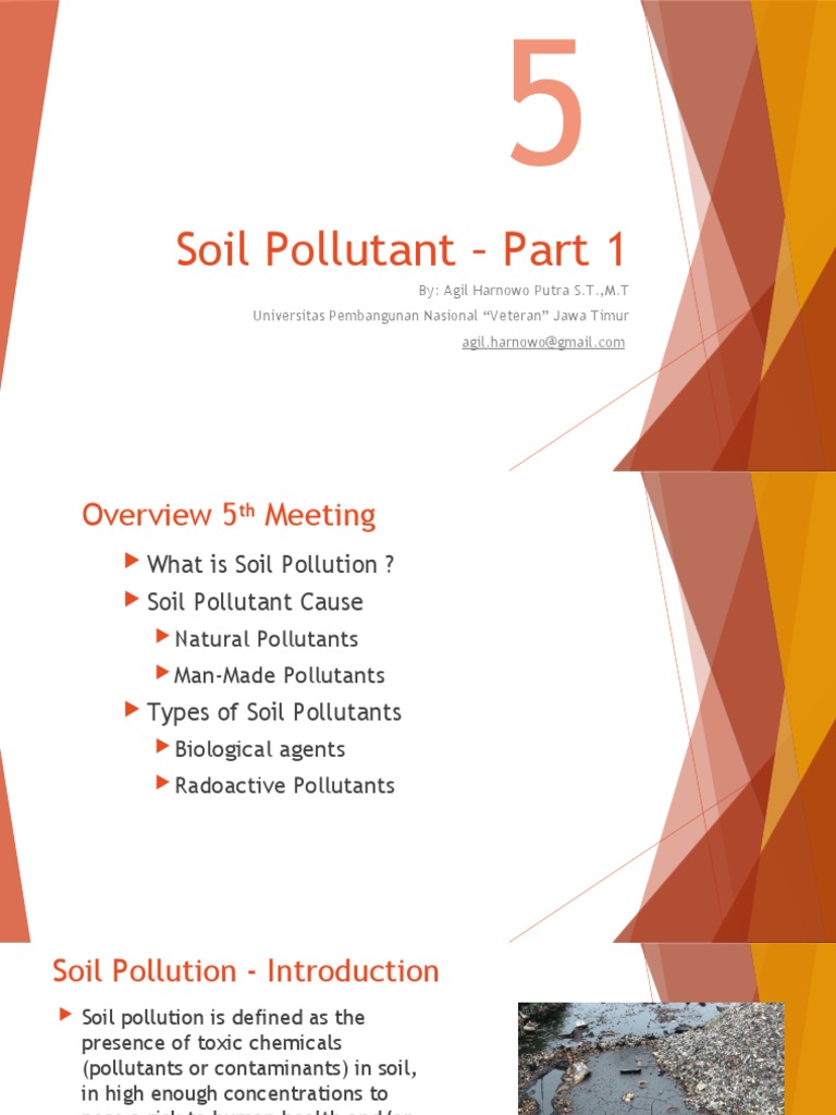 Understanding Soil Pollution Causes | PDF | Pollution | Soil