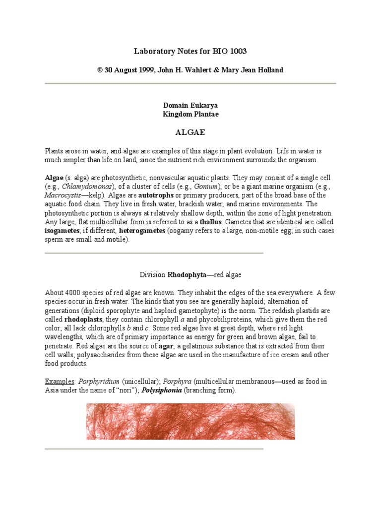 Laboratory Notes For BIO 1003 | PDF | Algae | Plants
