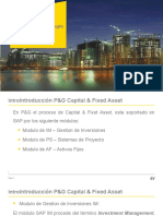 Manual SAP HCM: Guía de Usuario y Soporte | PDF | Bancos
