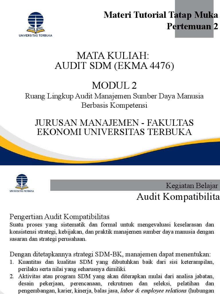 Audit 2 | PDF