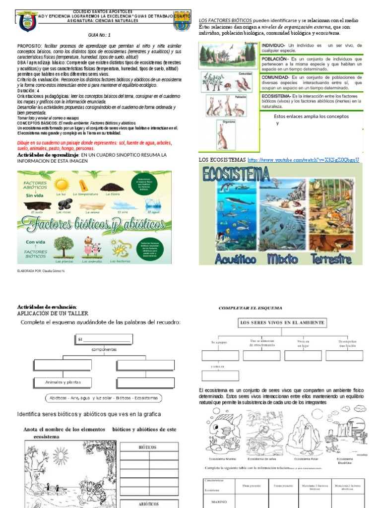 Guia 1-El Medio Ambiente y Sus Componentes | PDF | Ecosistema | Entorno ...