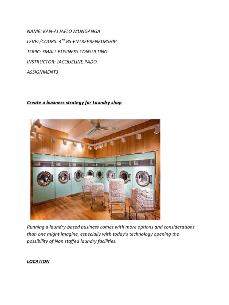 Create A Business Strategy For Laundry Shop | PDF | Laundry | Washing ...