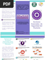 Lineamientos Generales Del Pvu 2024 | PDF