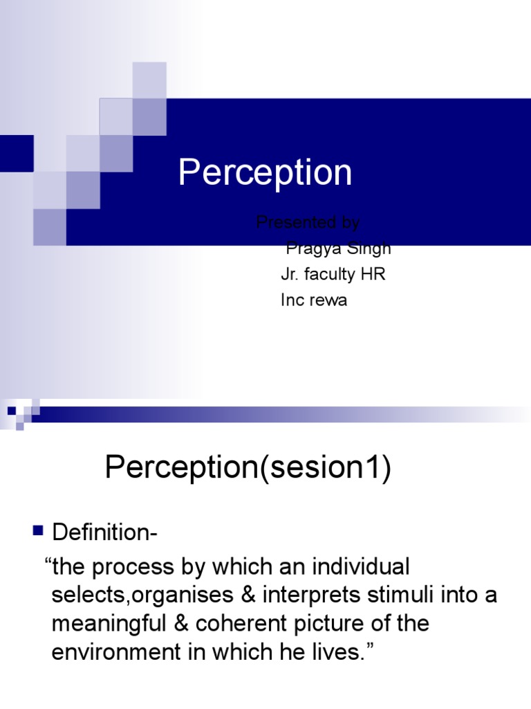 Understanding Perception: A Comprehensive Overview of Key Concepts | PDF