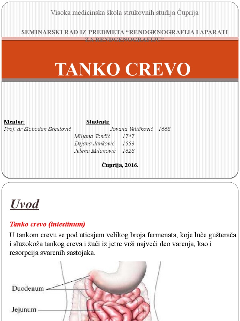Prezentacija Tanko Crevo | PDF