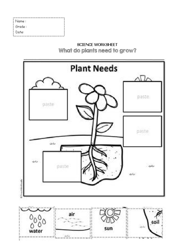 Science Worksheet What Plants Need | PDF