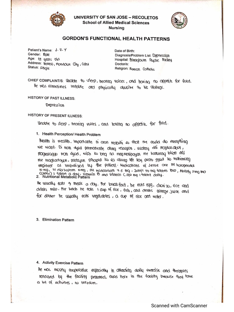 Gordons Functional Health Pattern | PDF