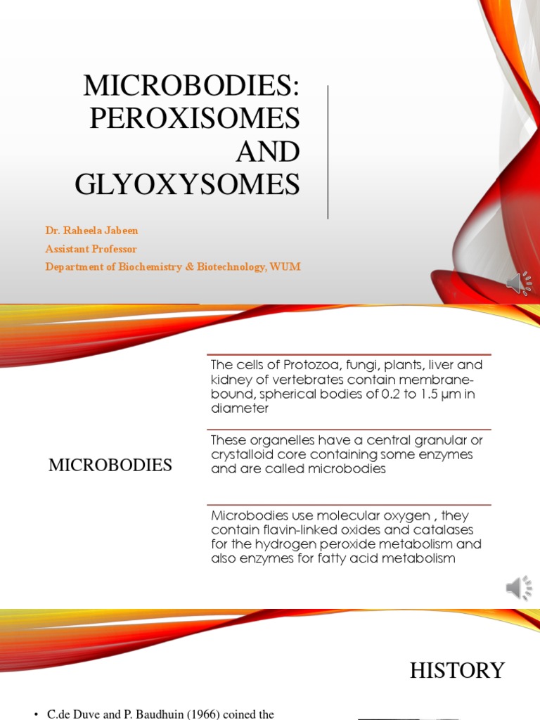 Microbodies: Peroxisomes and Glyoxysomes | PDF | Lipid | Metabolism