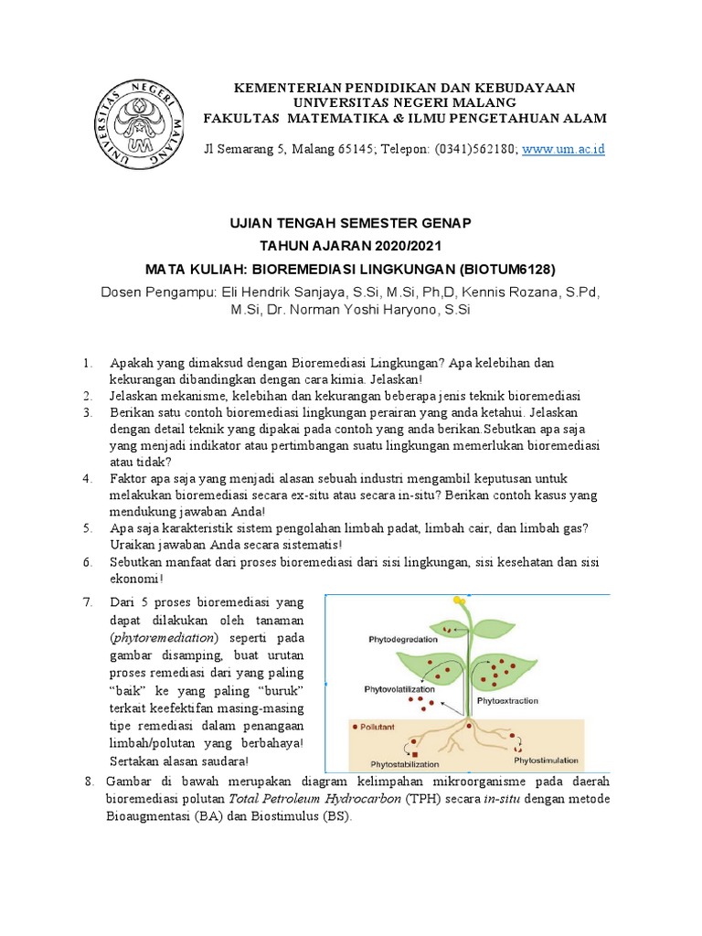 SOAL UTS - Bioremediasi Biotek UM 2021 | PDF | Sains & Matematika