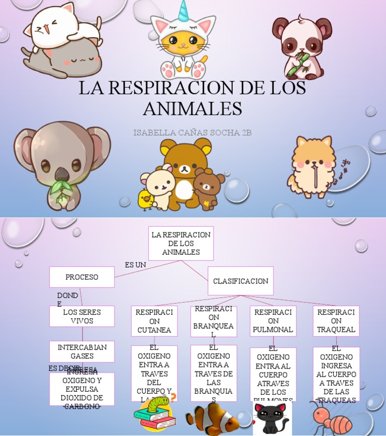La Respiracion de Los Animales | PDF